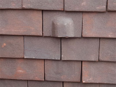 Heritage Clay Tiles Ltd :: Bat Tiles from Heritage Clay Tiles Ltd